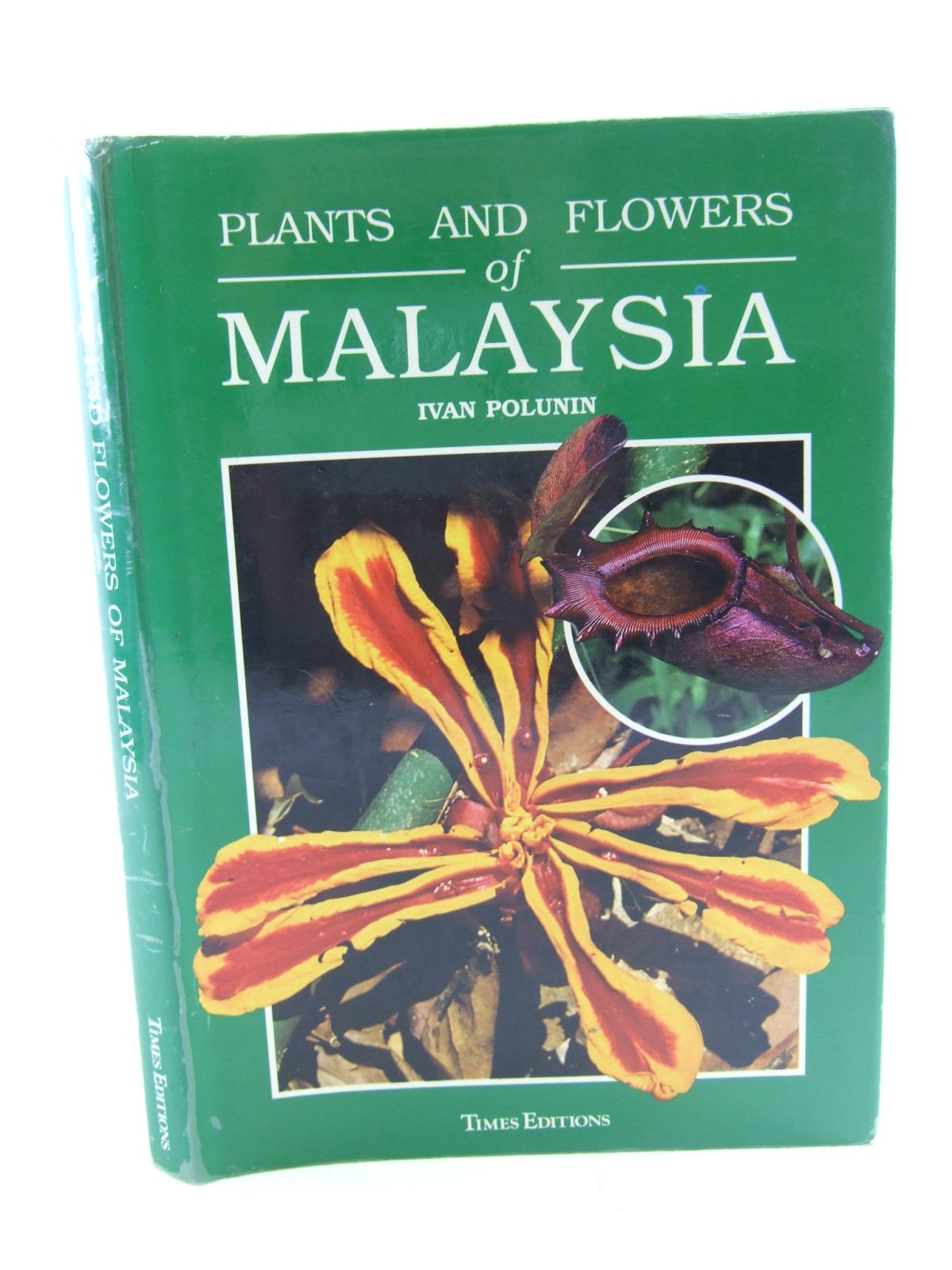 Stella & Rose's Books