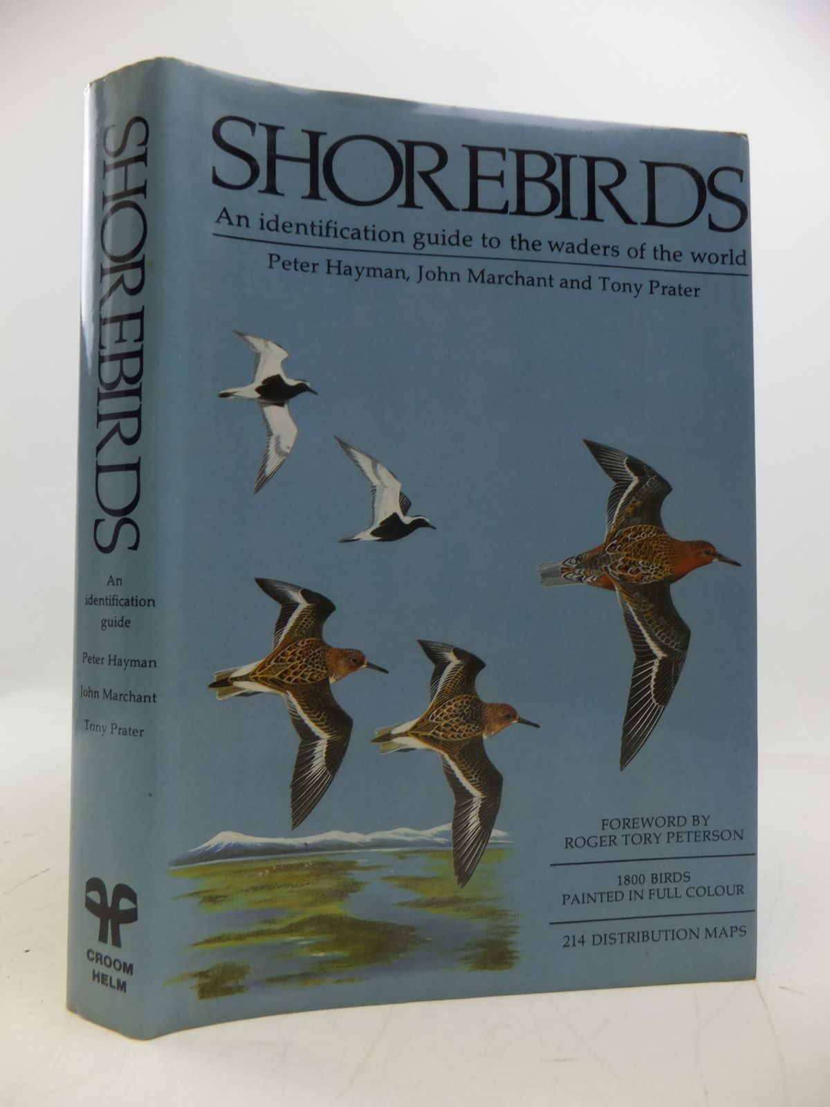 Stella & Rose's Books : SHOREBIRDS: AN IDENTIFICATION GUIDE TO WADERS ...