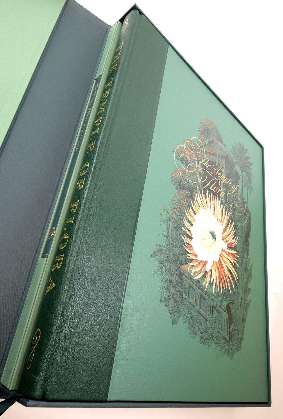 Stella & Rose's Books