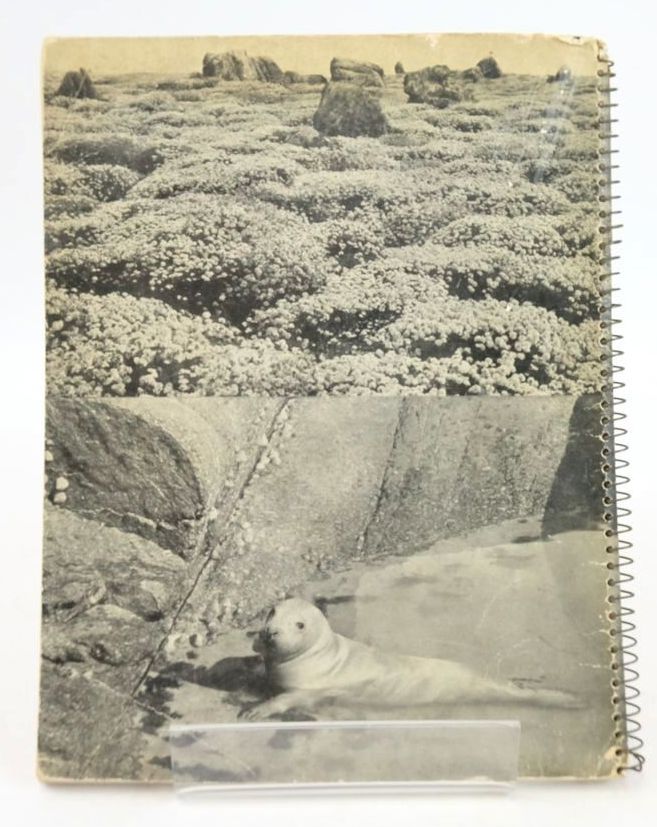 Stella & Rose's Books